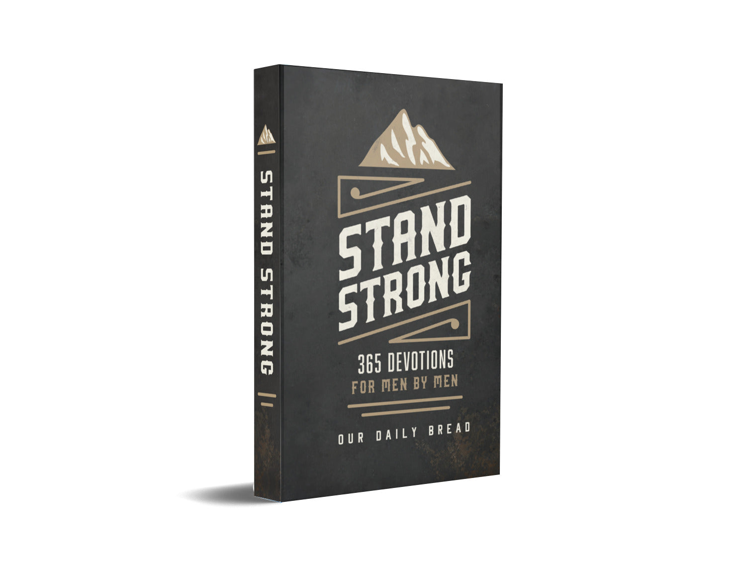 Stand Strong: 365 Devotions for Men by Men – Discovery House ...